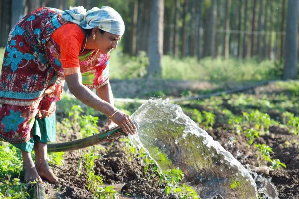 A Journal-Magazine on Contemporary Issues | The India Forum