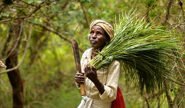 'Will Come if it is in Our Podu' | The India Forum