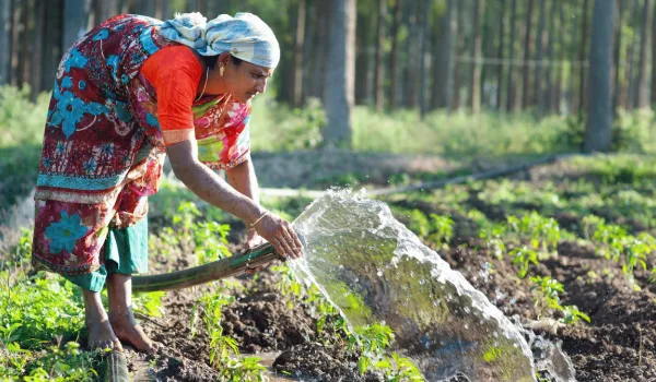 NSSO 77th Round: What does it tell us about India’s Irrigation Economy ...